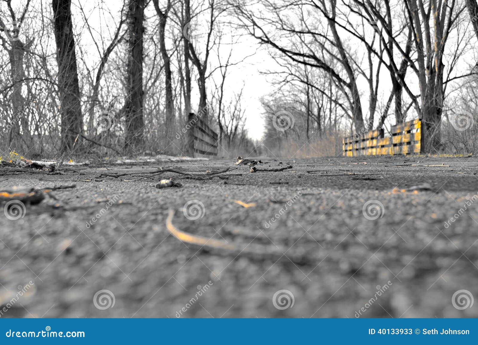 Looking down the path. stock image. Image of tree, path - 40133933