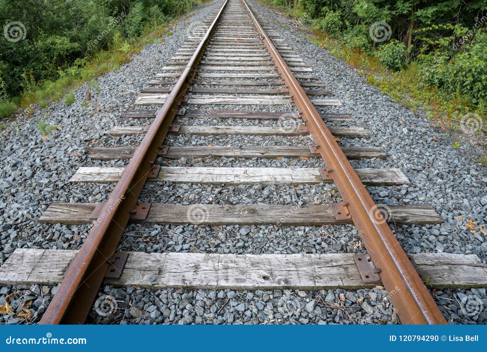 Looking Down the Railroad Tracks Stock Photo - Image of western ...