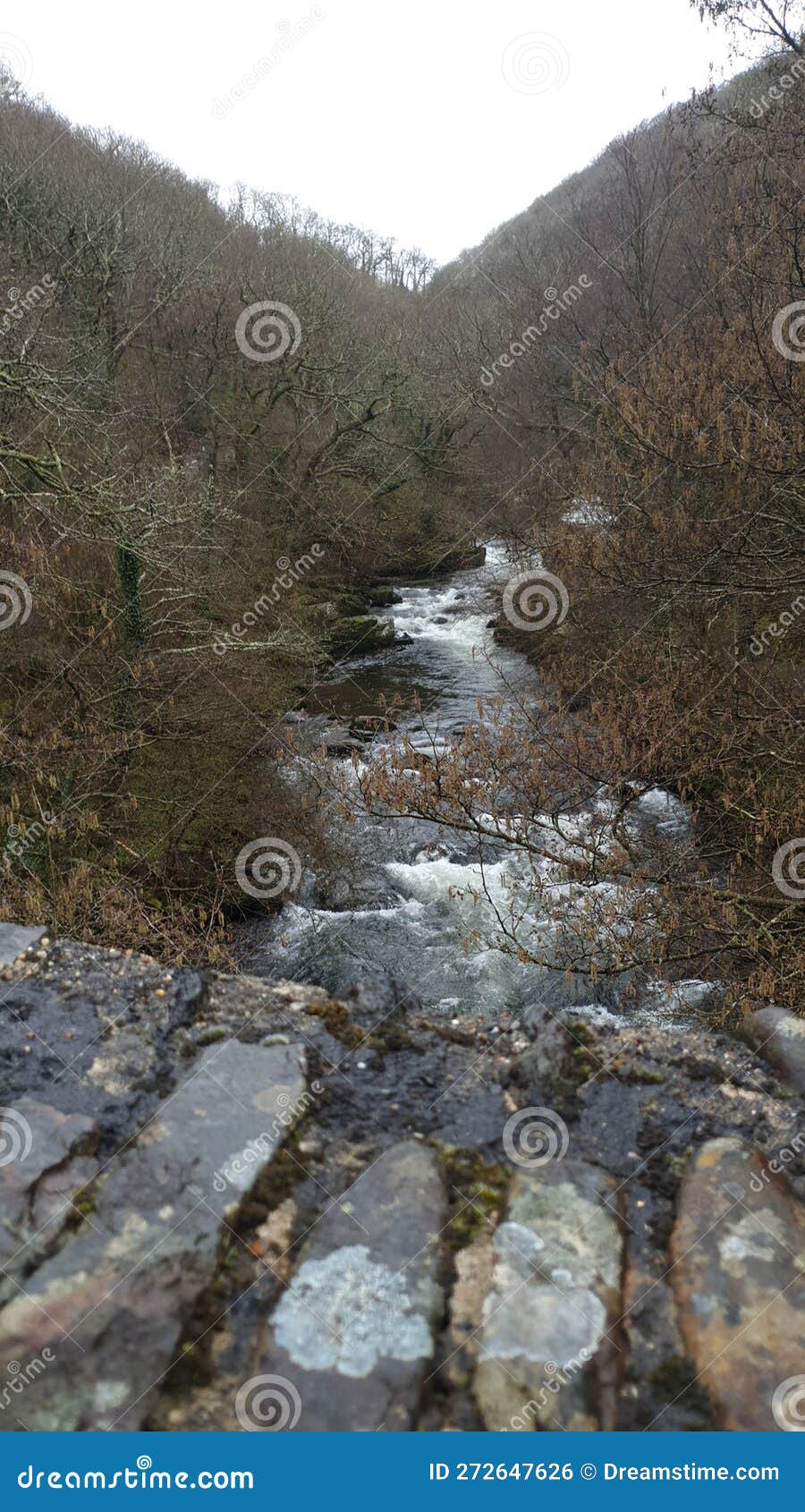 Looking Down at a Snaking River Stock Photo - Image of nature, rapid ...