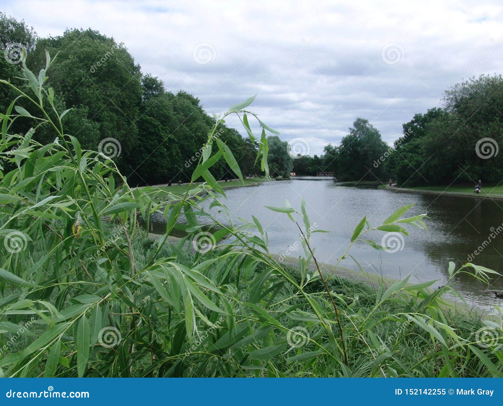 Down the River stock image. Image of leaves, river, lake - 152142255