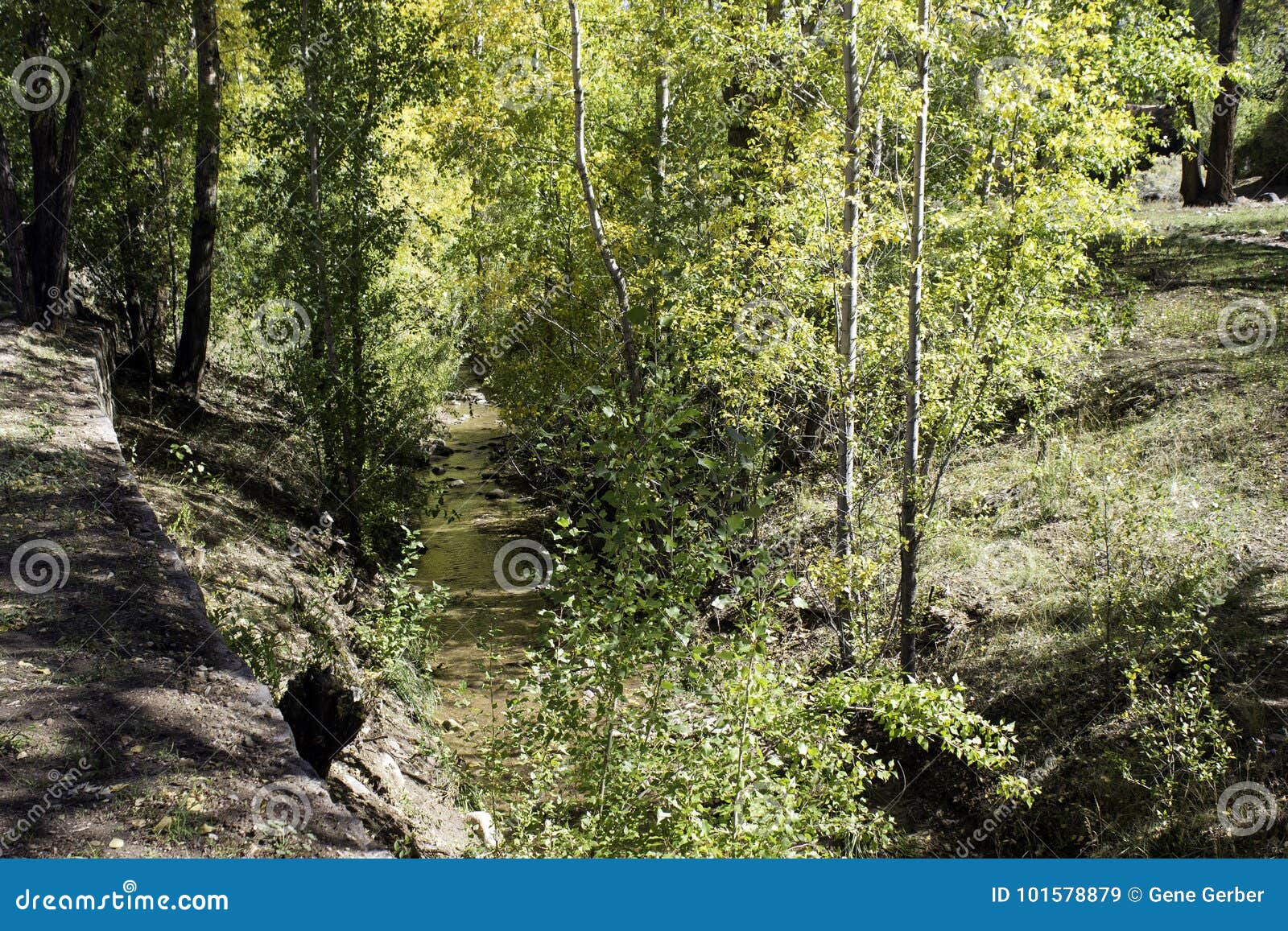 Looking Down on River stock image. Image of waterscape - 101578879