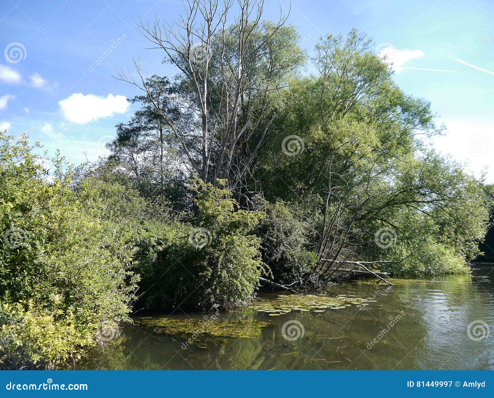 Looking Down River with Trees To the Left Stock Image - Image of ...
