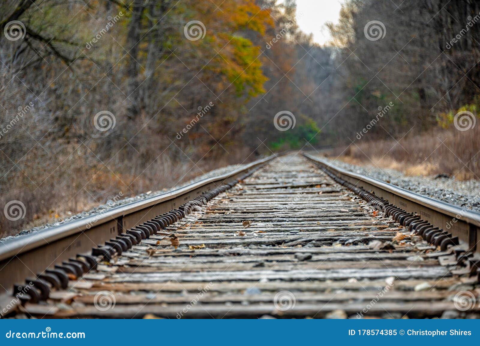 Railroad tracks in winter stock image. Image of respecting - 178574385