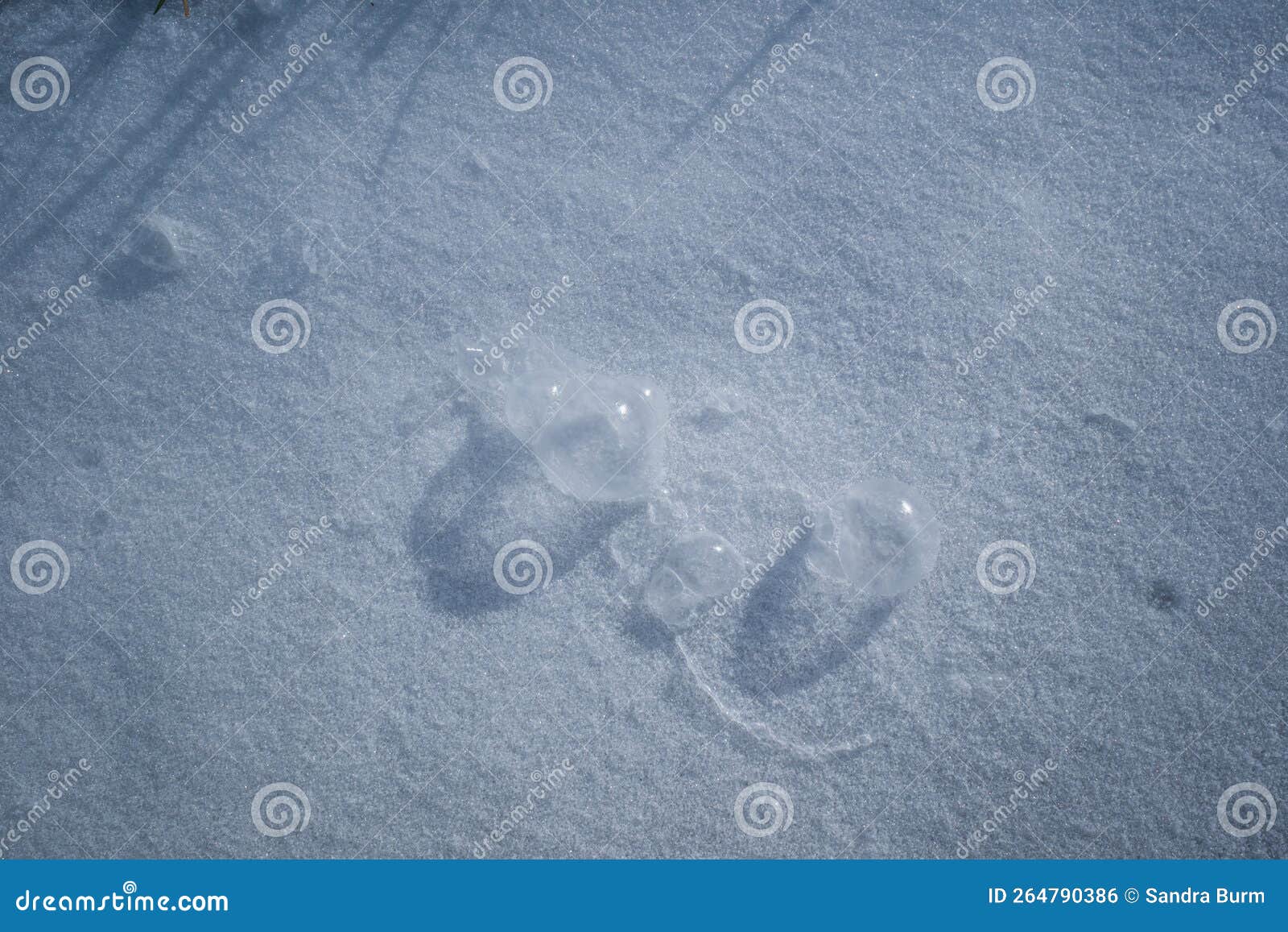 Clusters of frozen bubbles stock photo. Image of globe - 264790386
