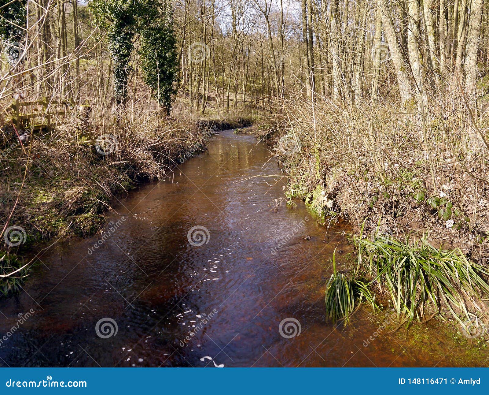 Looking Down Small Stream in Early Spring Stock Image - Image of ...