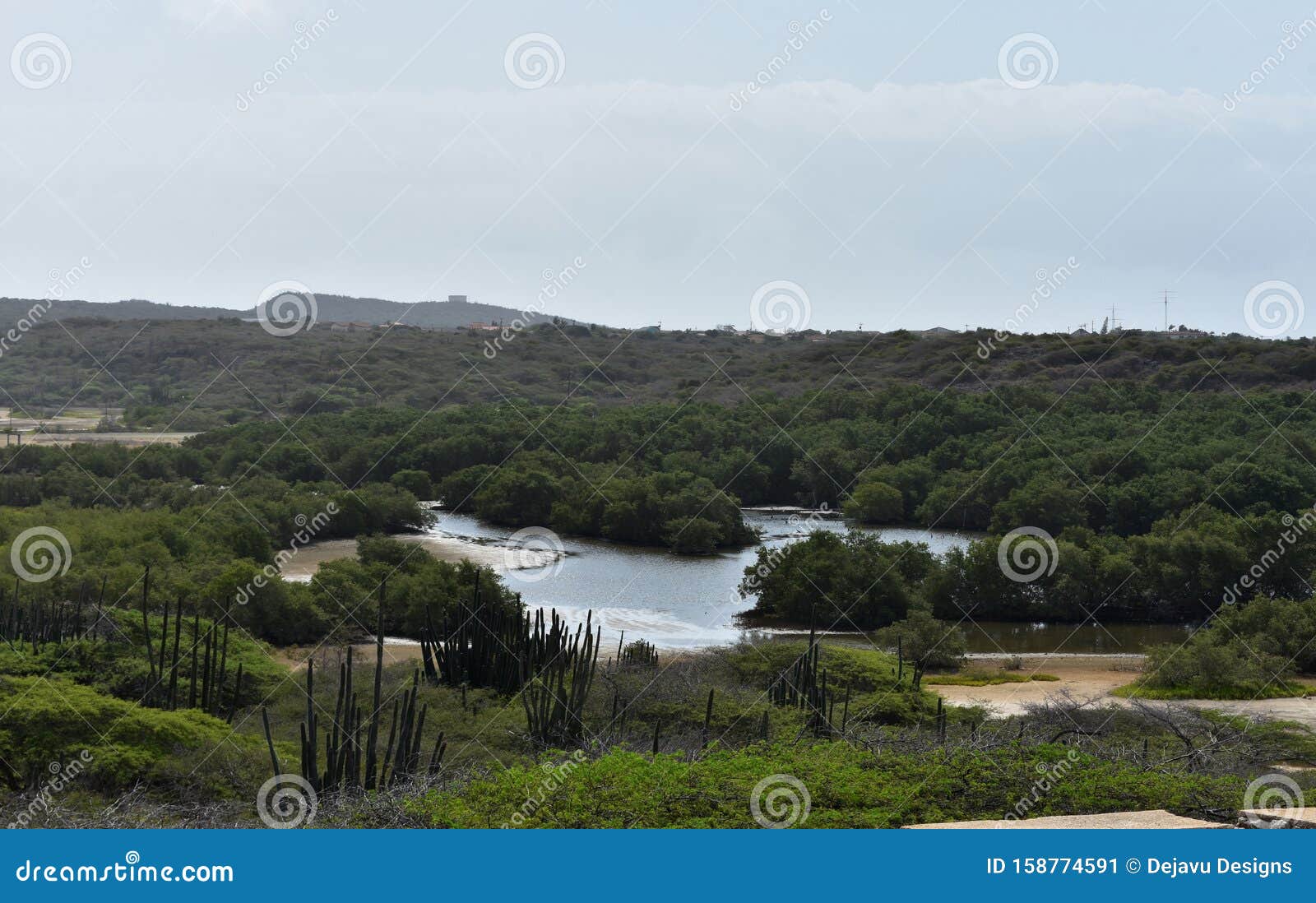 Looking Down at the Spanish Lagoon in Aruba Stock Image - Image of ...