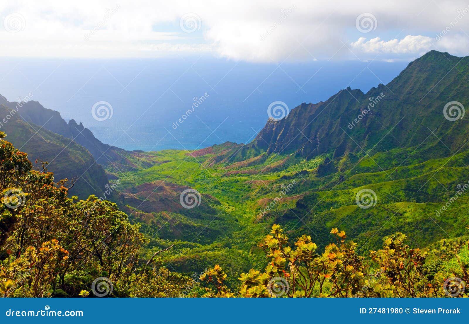 Looking Down into a Tropical Valley Stock Photo - Image of wilderness ...