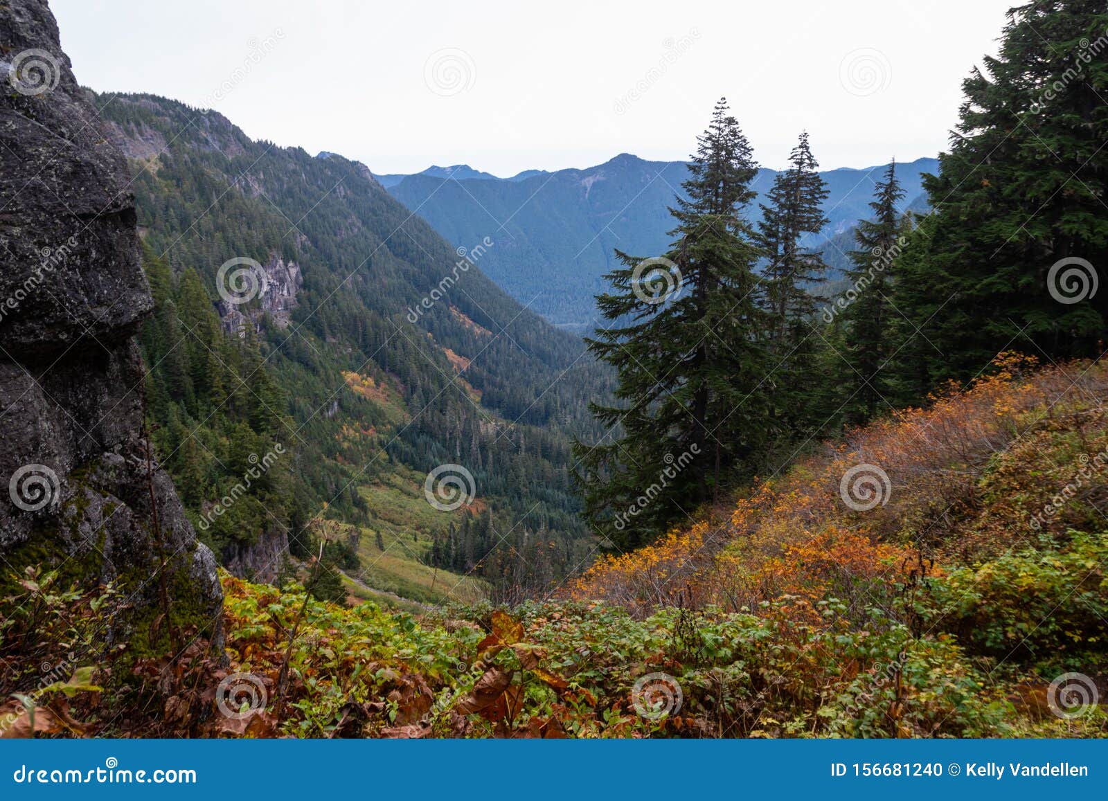 Tolmie Peak Trail At Mount Rainier National Park Royalty-Free Stock ...
