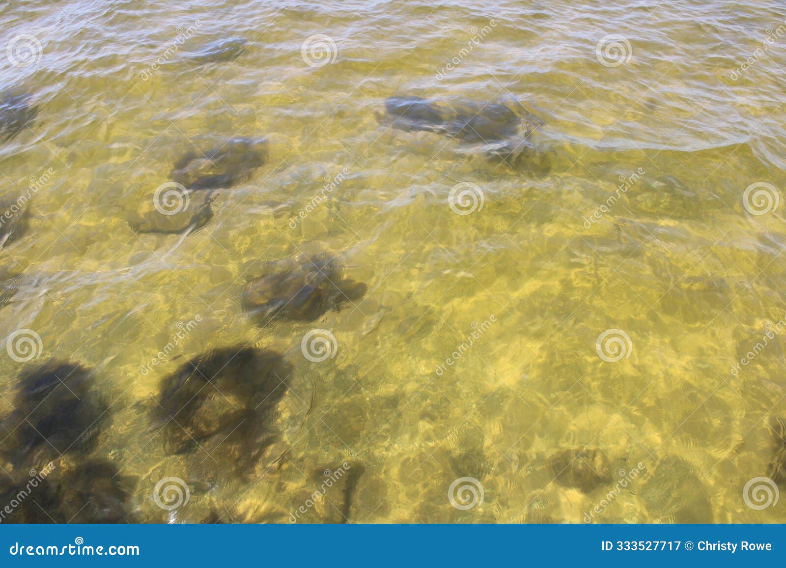Looking Down at the Waters Surface with Water Ripples and Reflections ...