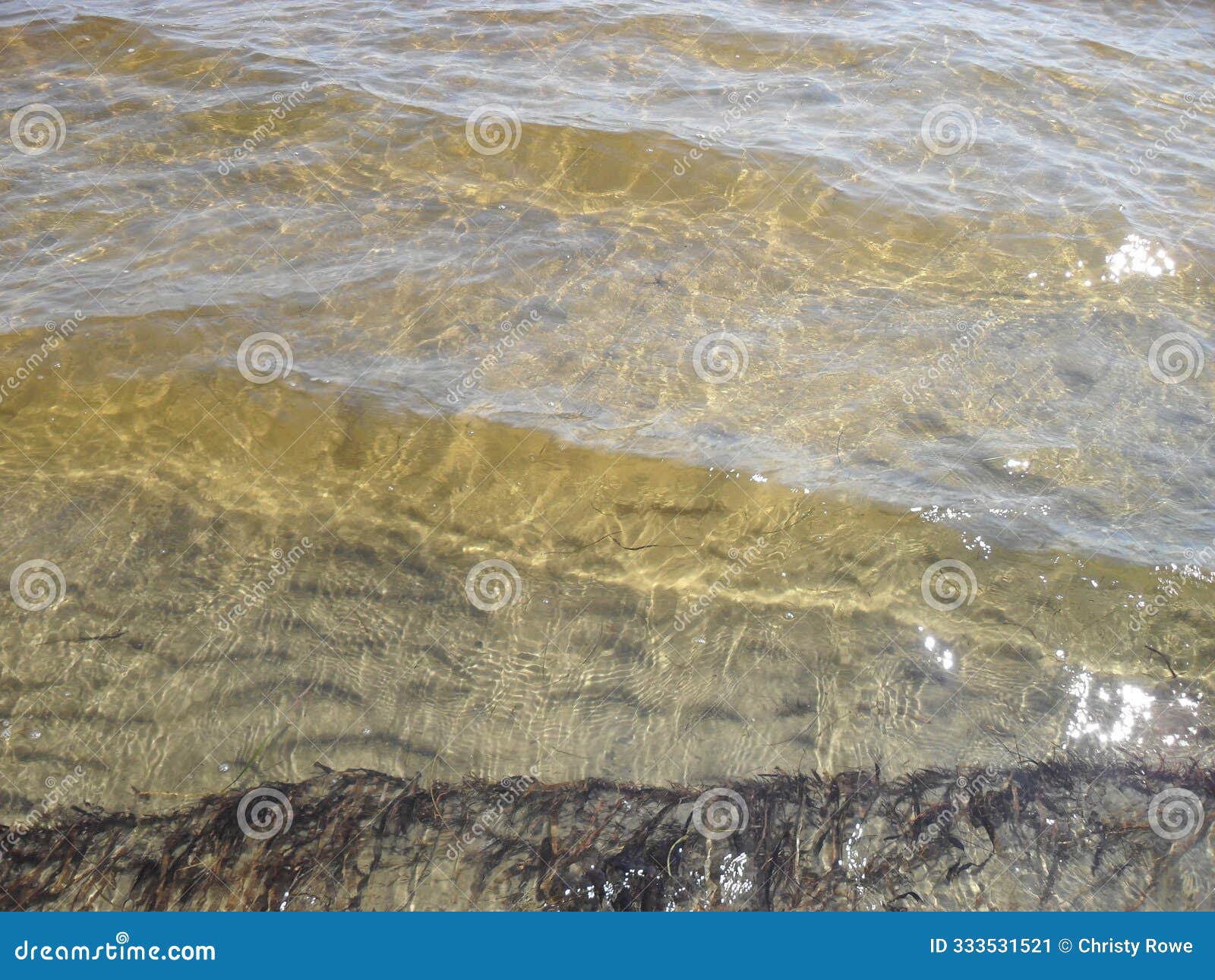Looking Down at the Waters Surface with Water Ripples and Reflections ...