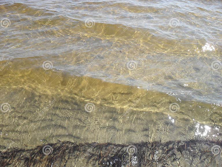 Looking Down at the Waters Surface with Water Ripples and Reflections ...