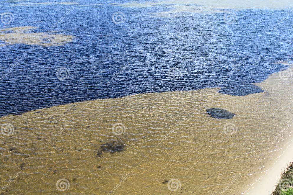 Looking Down at the Waters Surface with Water Ripples and Reflections ...