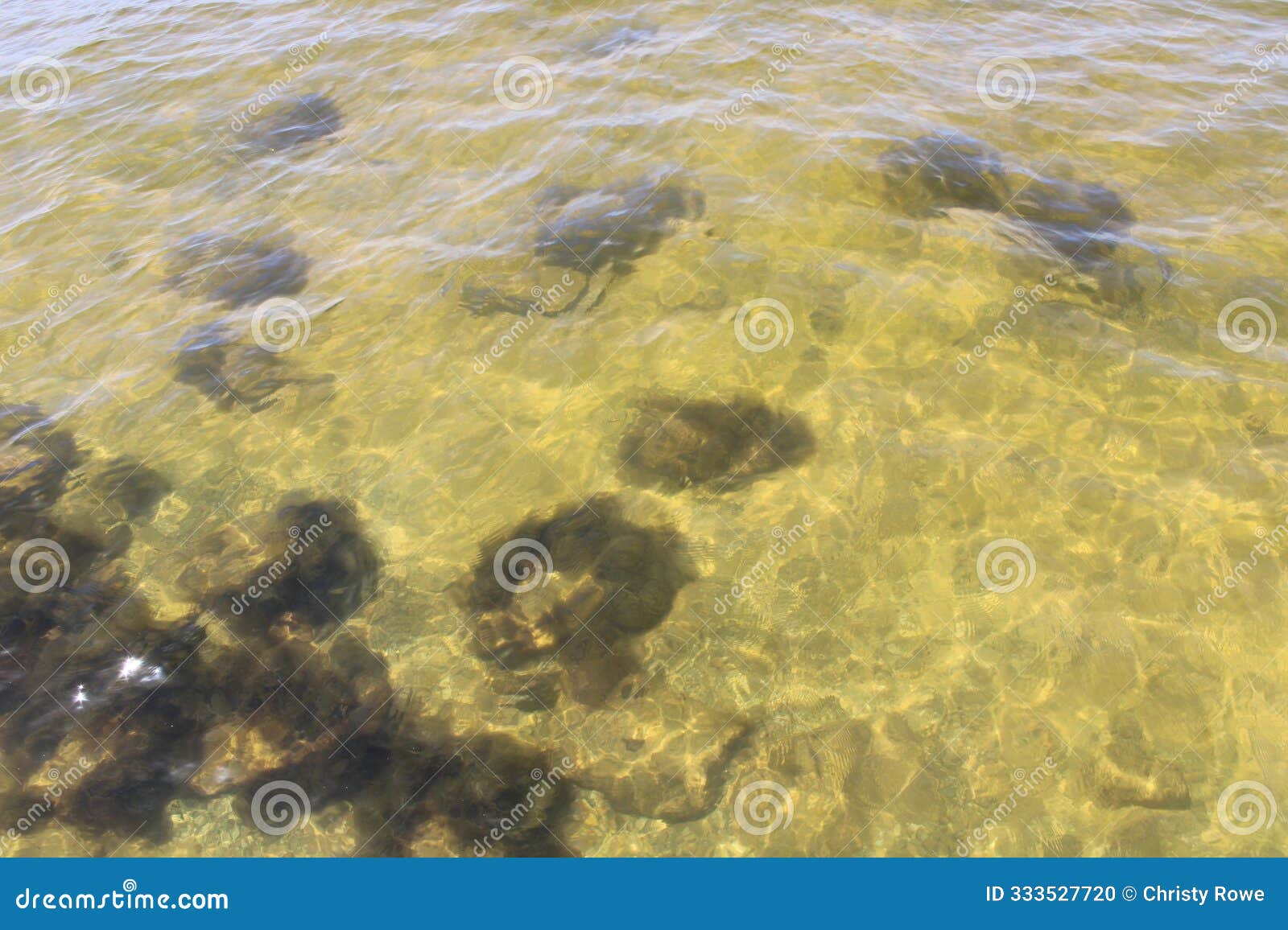 Looking Down at the Waters Surface with Water Ripples and Reflections ...