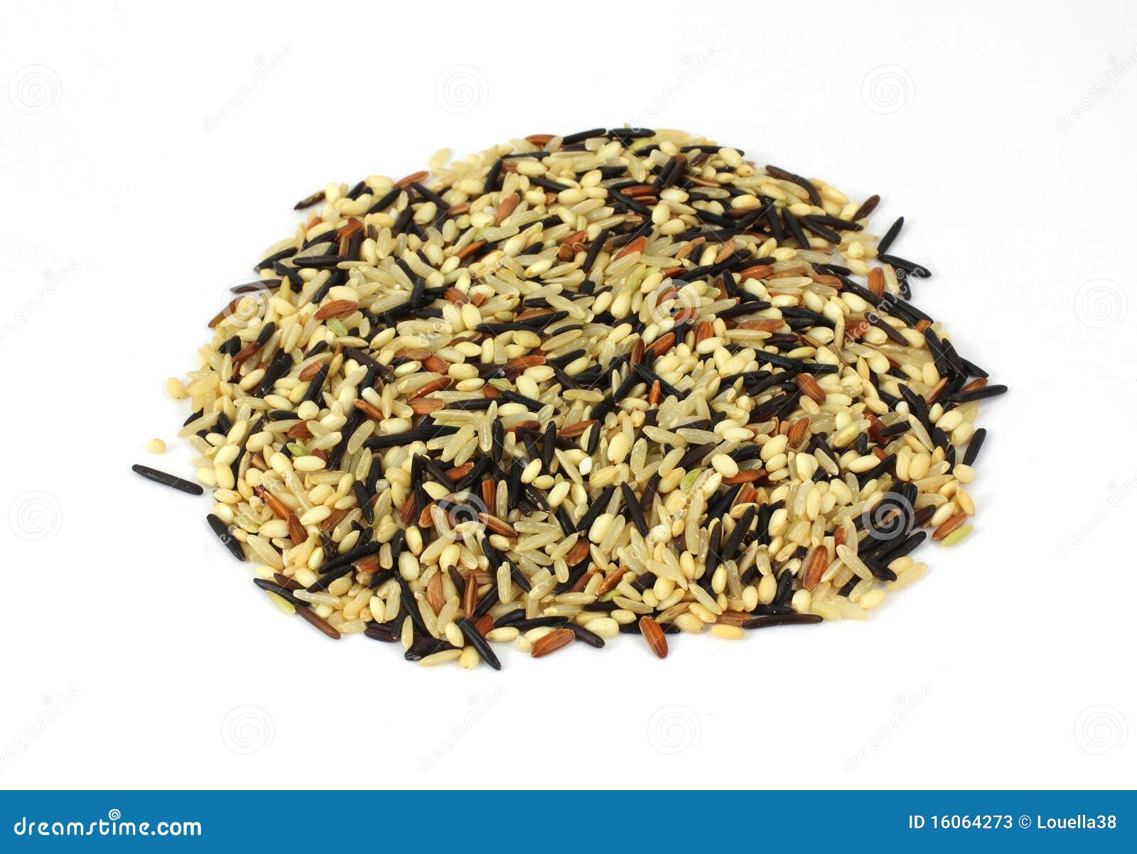 Looking Down Wild White Rice Mix Stock Image - Image of rice ...
