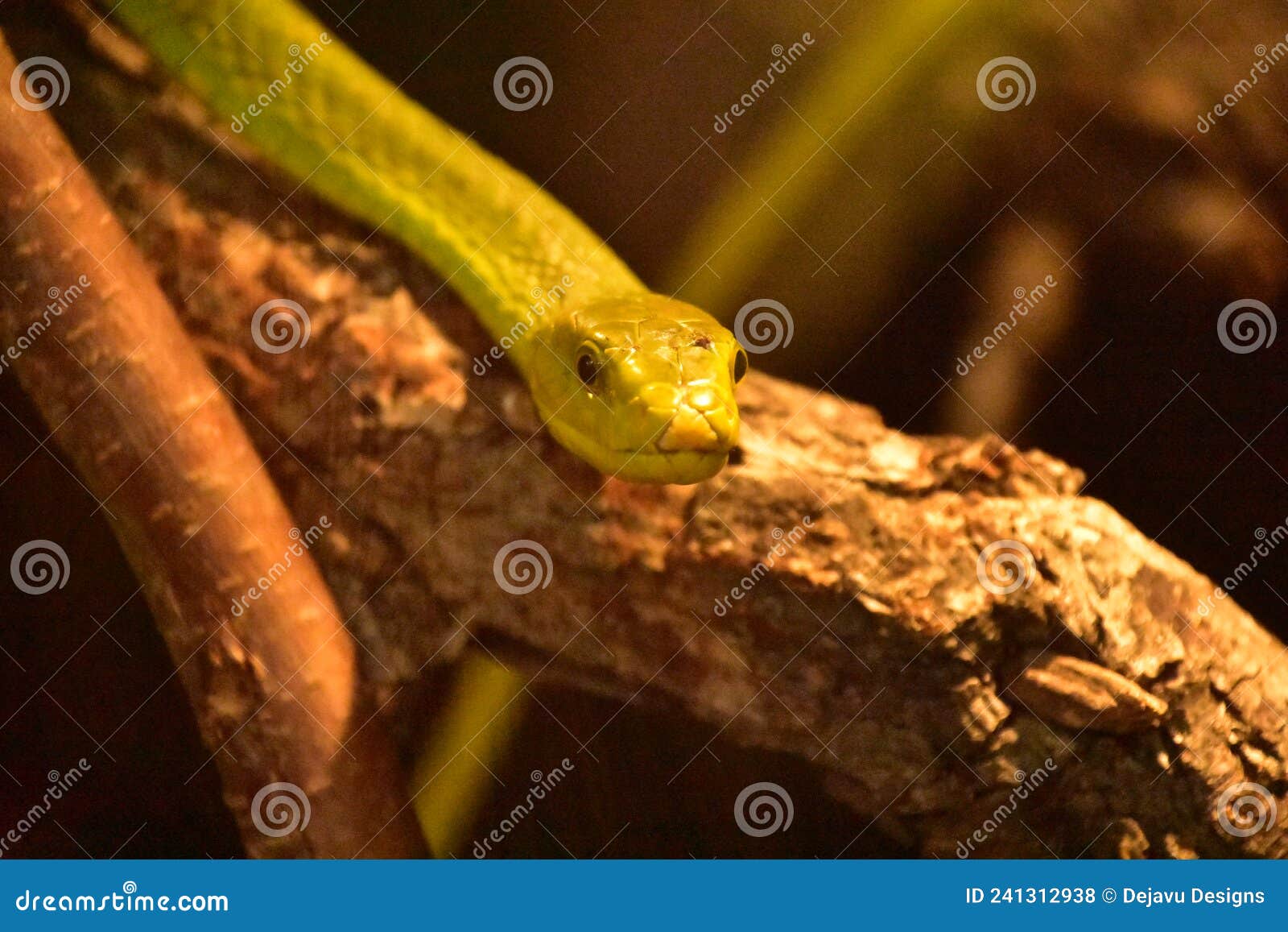 Poisonous Green Smoke Texture Stock Photography | CartoonDealer.com ...