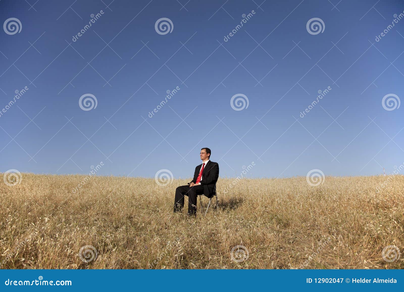 Looking at the field stock image. Image of career, achieve - 12902047