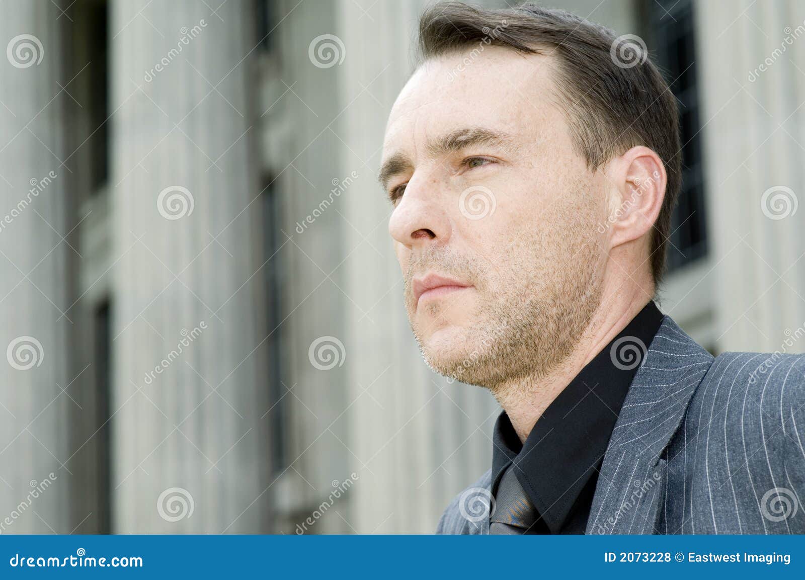 Looking Forward stock photo. Image of fashionable, business - 2073228