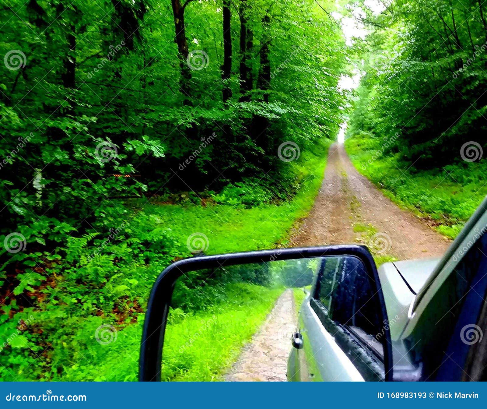 Looking forward and back stock image. Image of back - 168983193