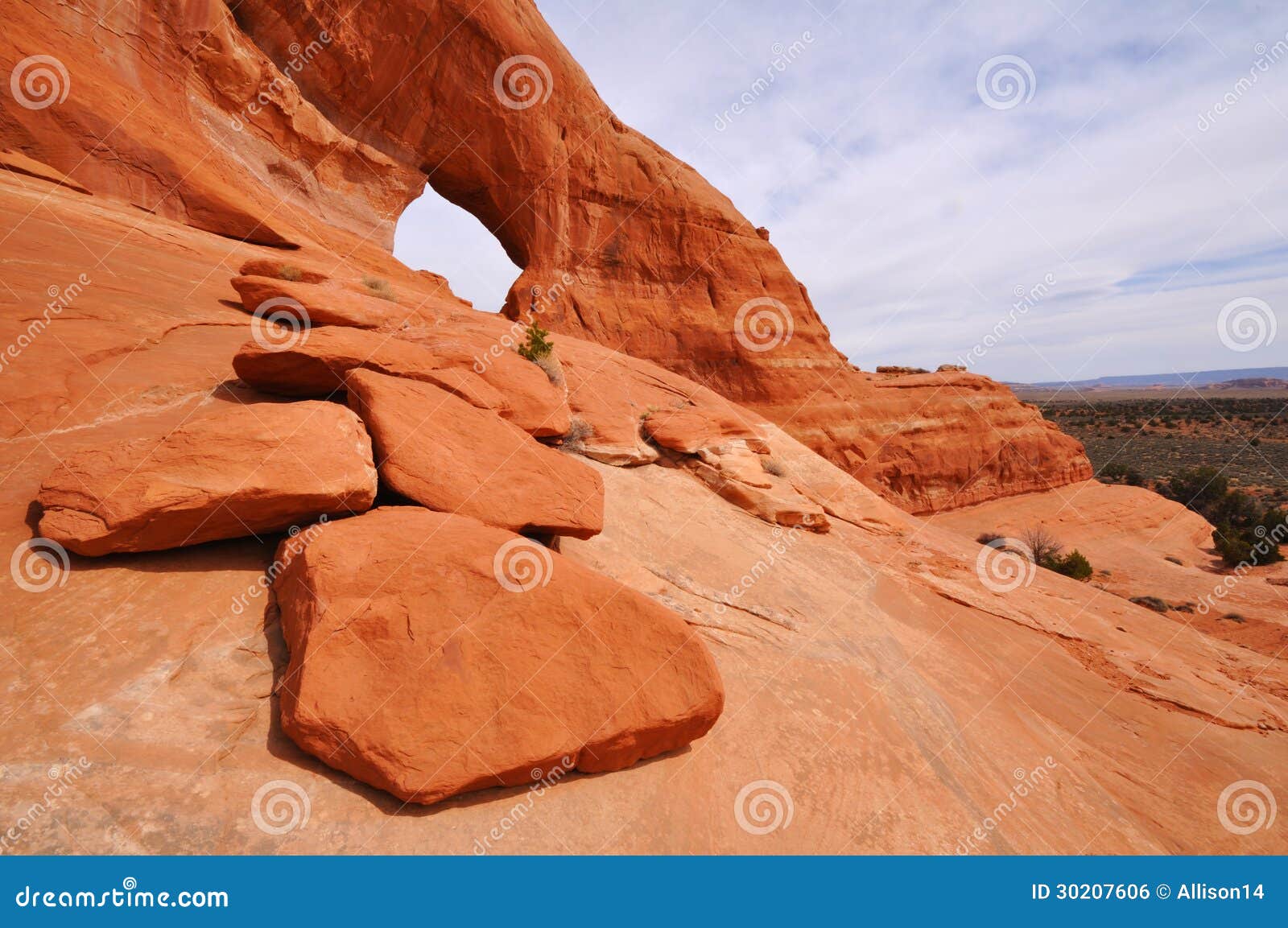 Glass Arch Roof - Building Royalty-Free Stock Image | CartoonDealer.com ...