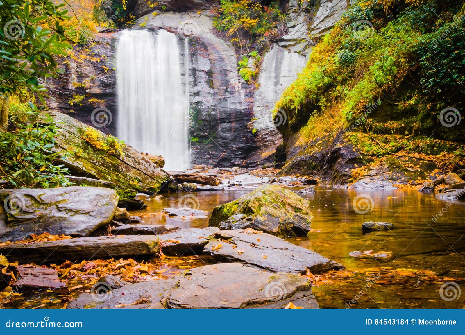 Looking glass falls stock photo. Image of glass, falls - 84543184