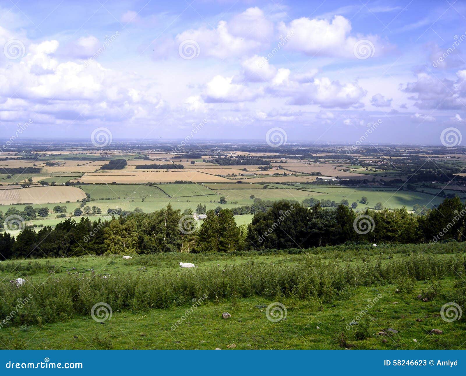 Looking from Hill Over Flat Fields in England Stock Image - Image of ...