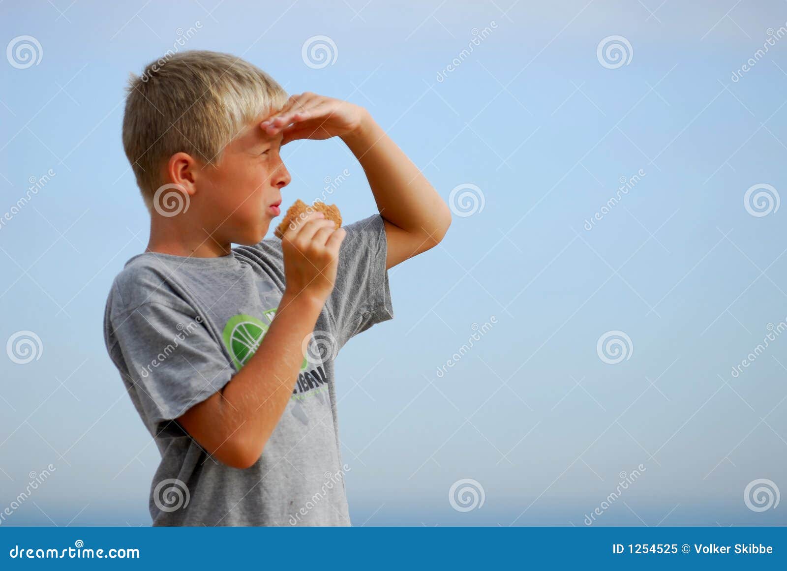 Looking hungry 5 stock image. Image of sand, navigation - 1254525