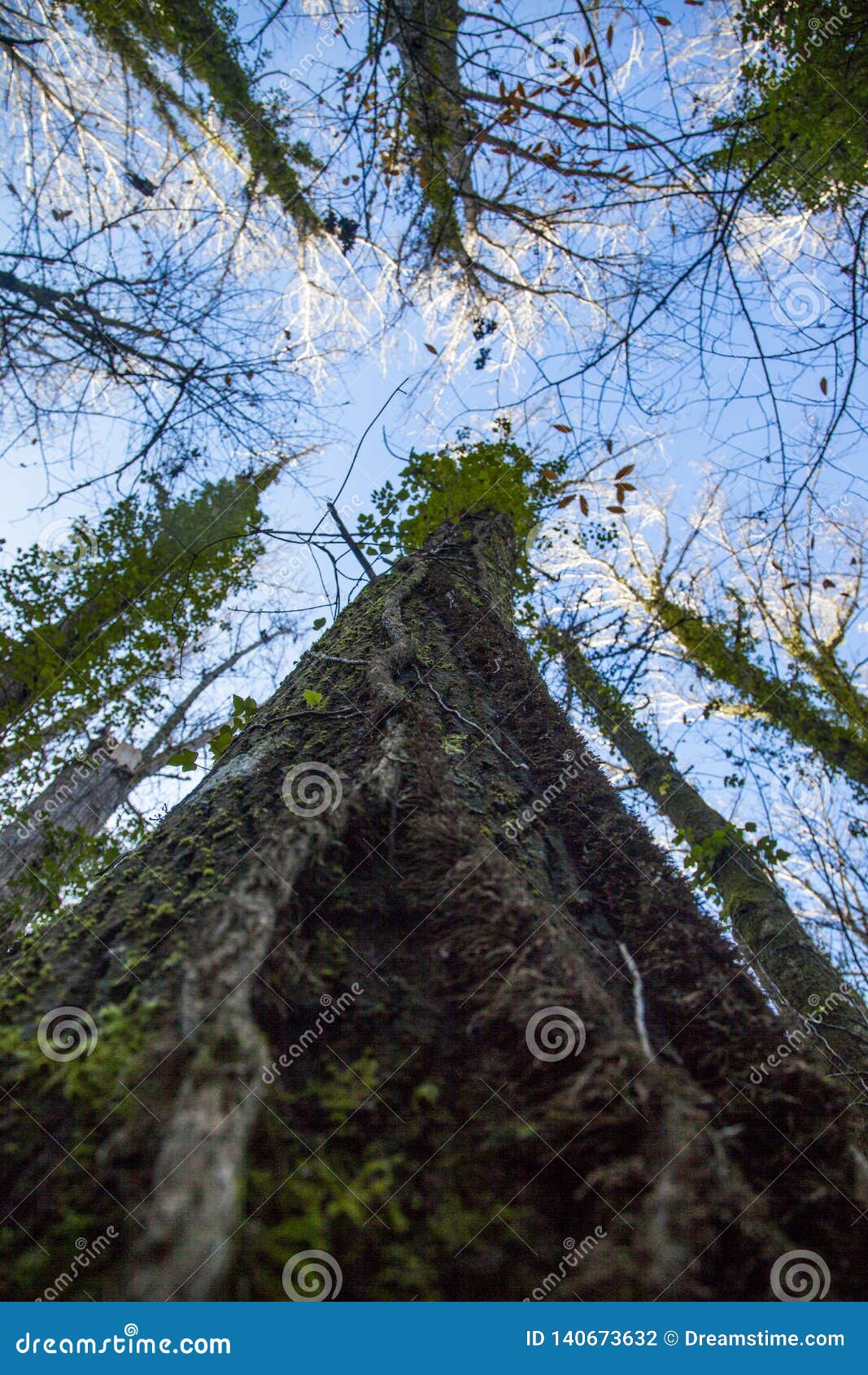 Looking to infinity stock photo. Image of spain, blue - 140673632