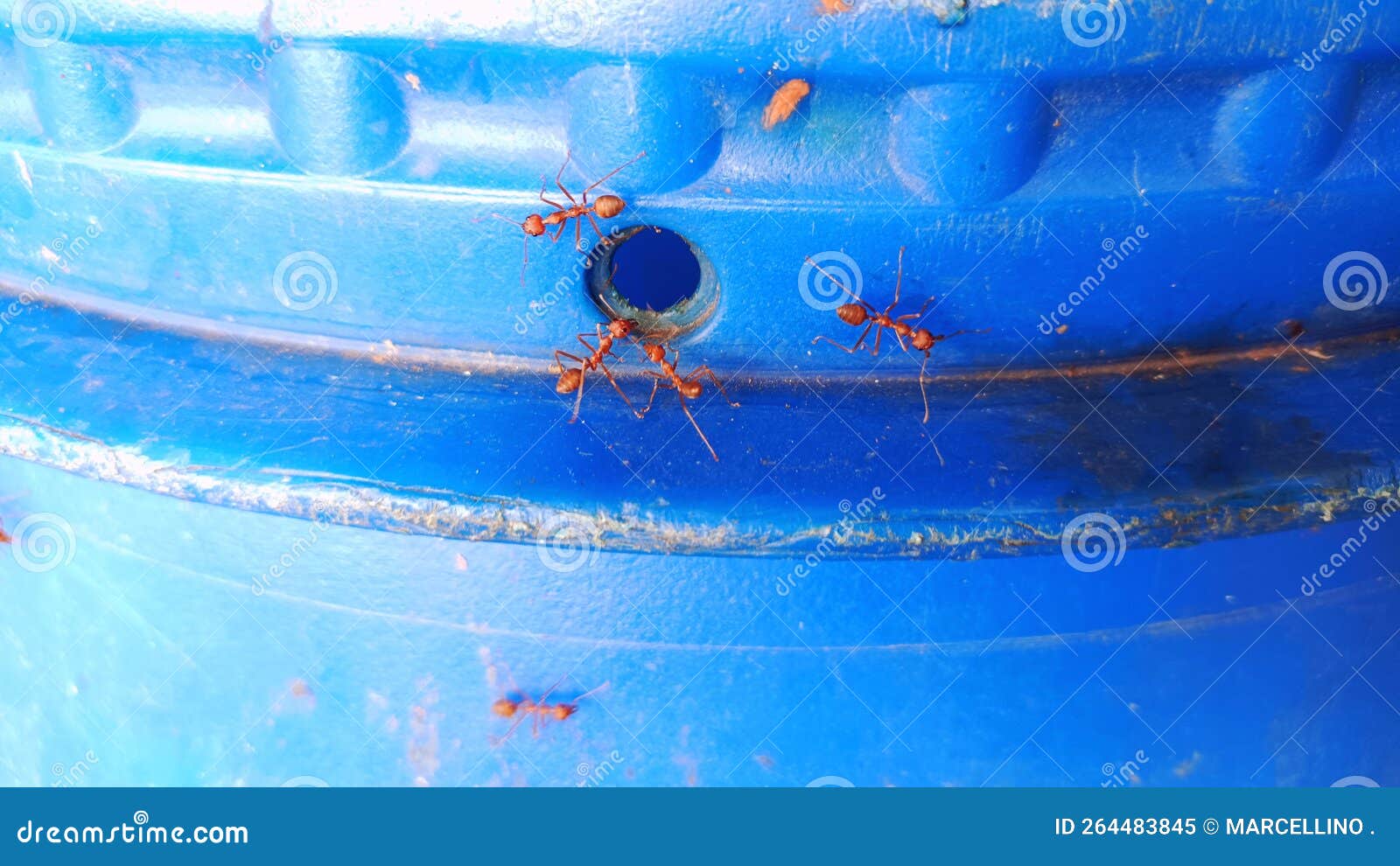 Looking inside the hole stock image. Image of hole, looking - 264483845
