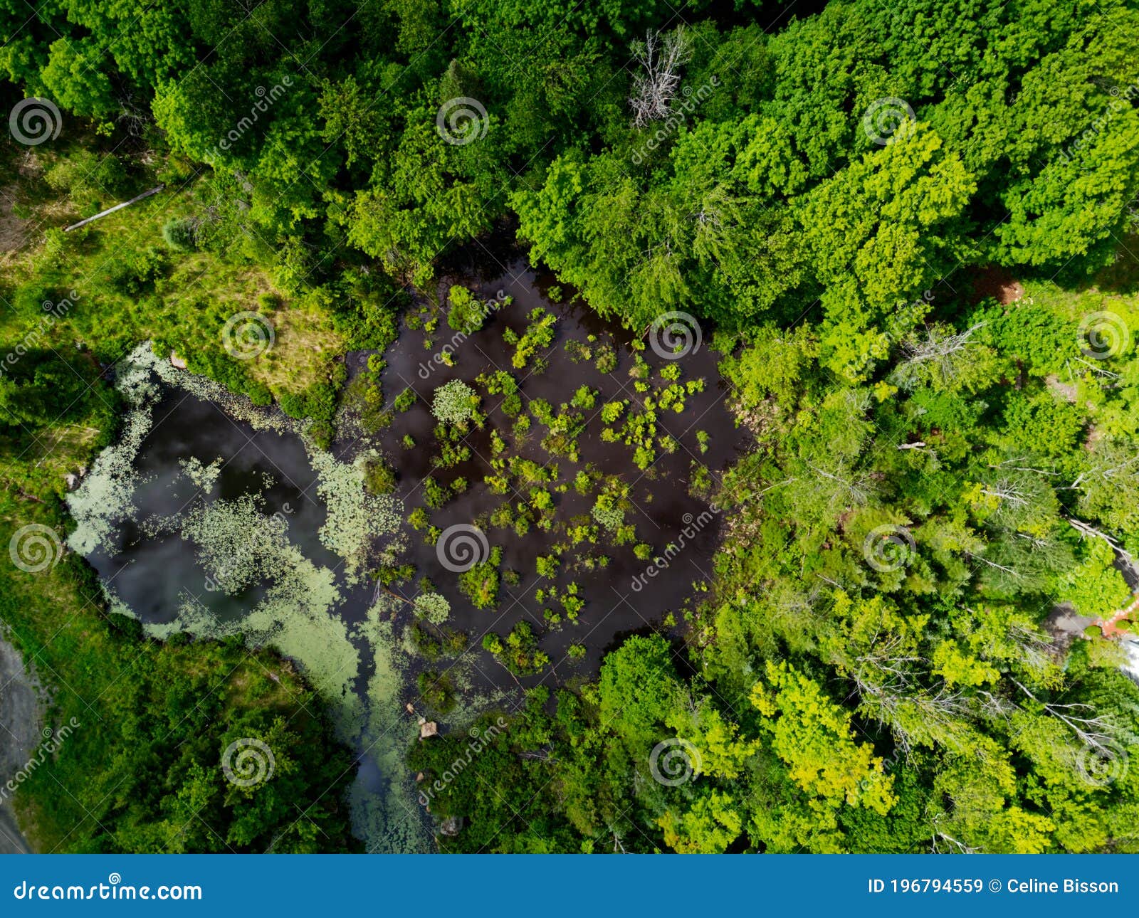 Looking at the Lake from Above Stock Image - Image of straight, aerial ...