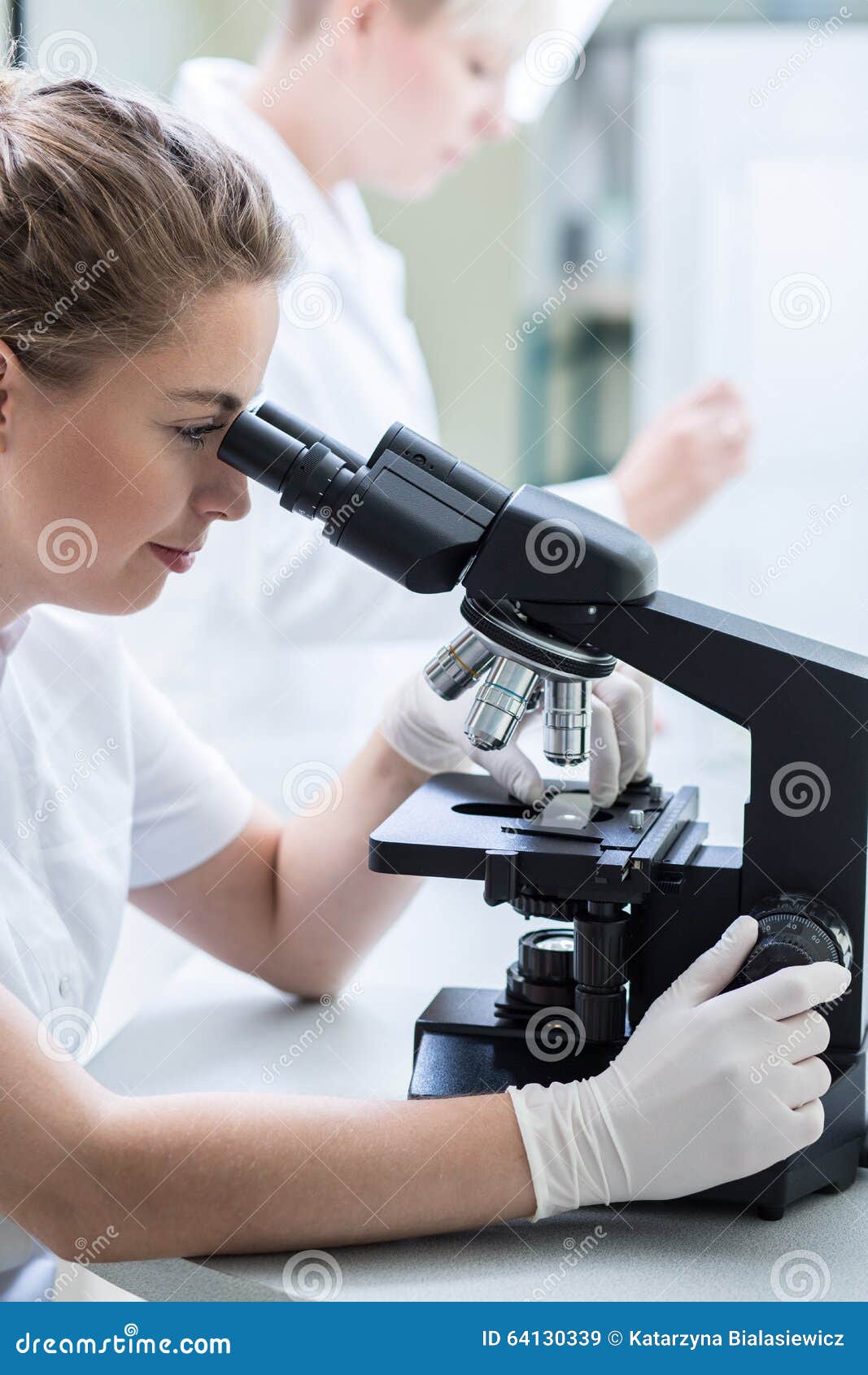Looking through a Microscope Stock Image - Image of experiment, look ...