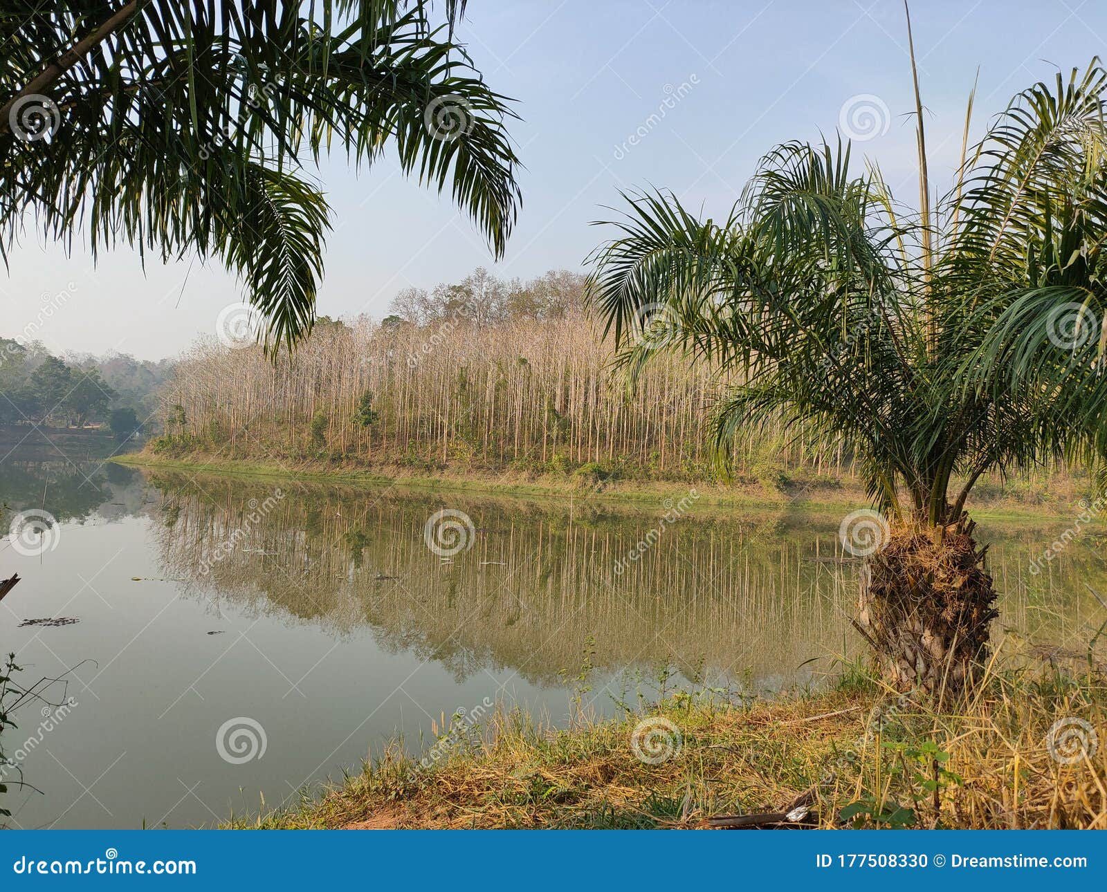 Looking at Mountains, Trees, and Rivers Can Calm Us. Stock Photo ...