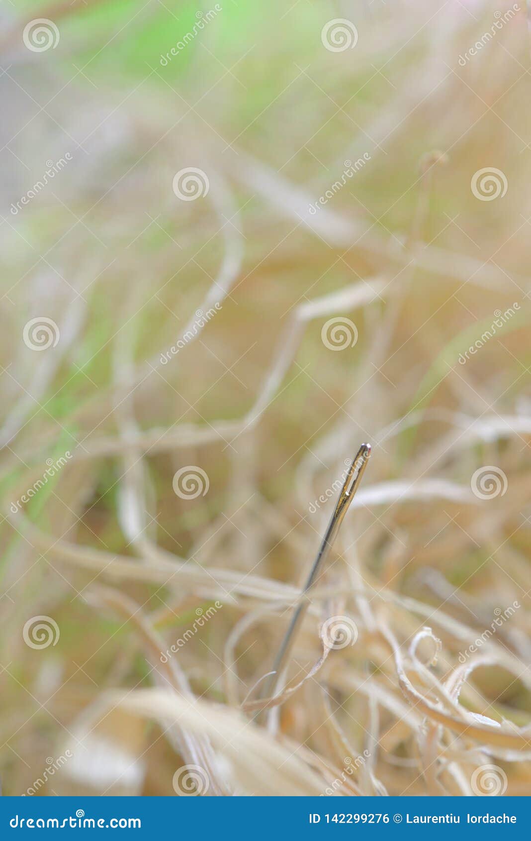 Looking for a Needle in a Haystack Stock Photo - Image of hard, sayings ...