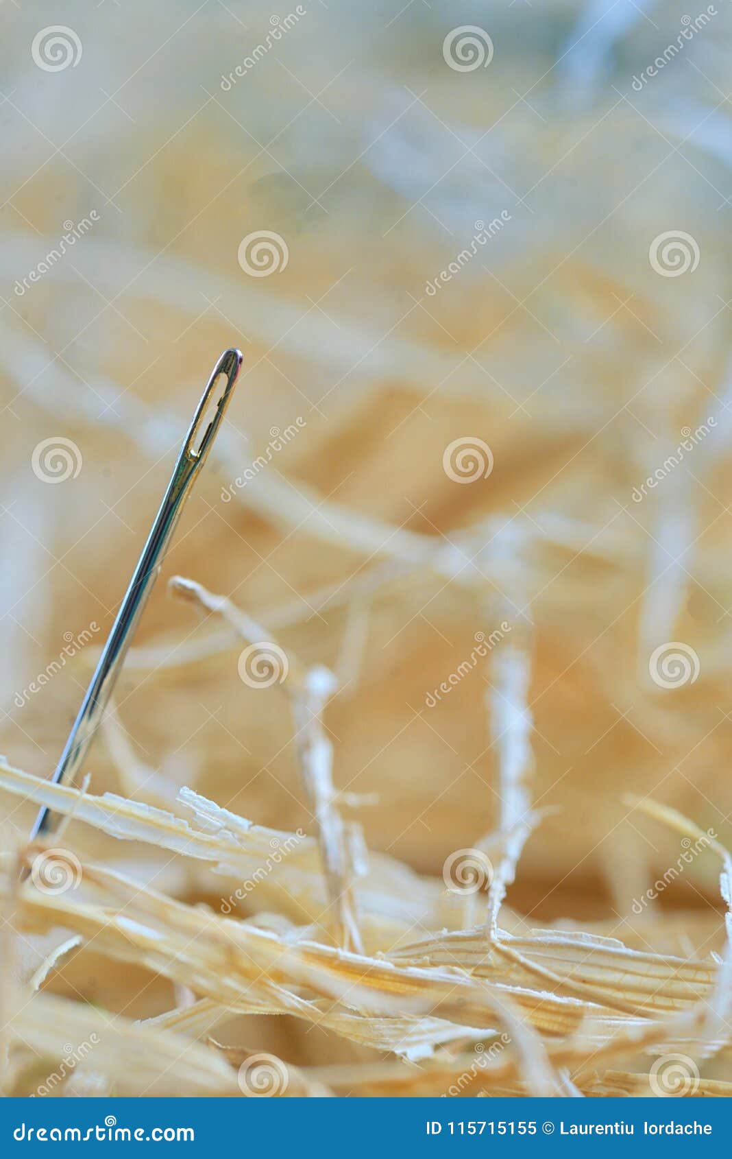 Looking for a Needle in a Haystack Stock Image - Image of chance, faith ...