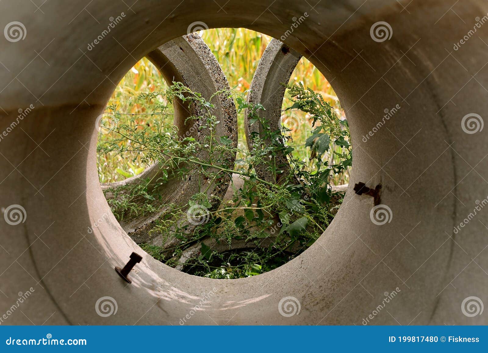 Ends of Stacked Old Culvert Sections. Stock Photo - Image of pipe ...