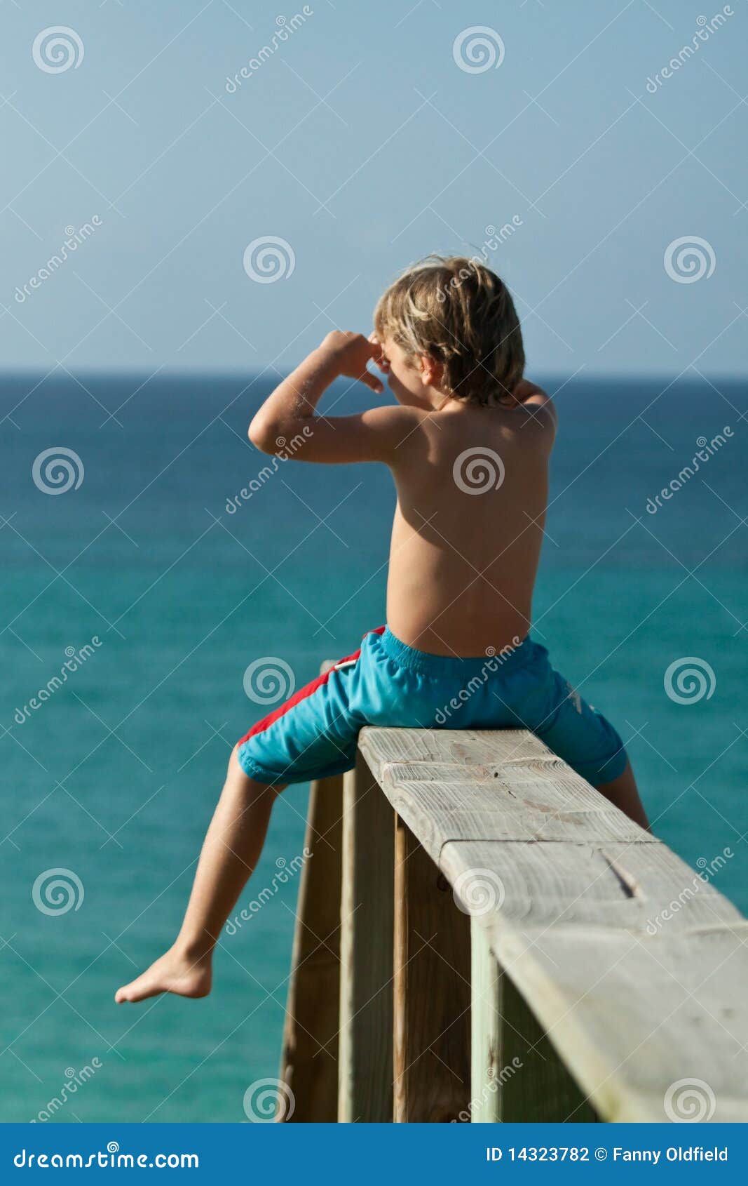 Looking out stock photo. Image of tropics, tropical, searching - 14323782