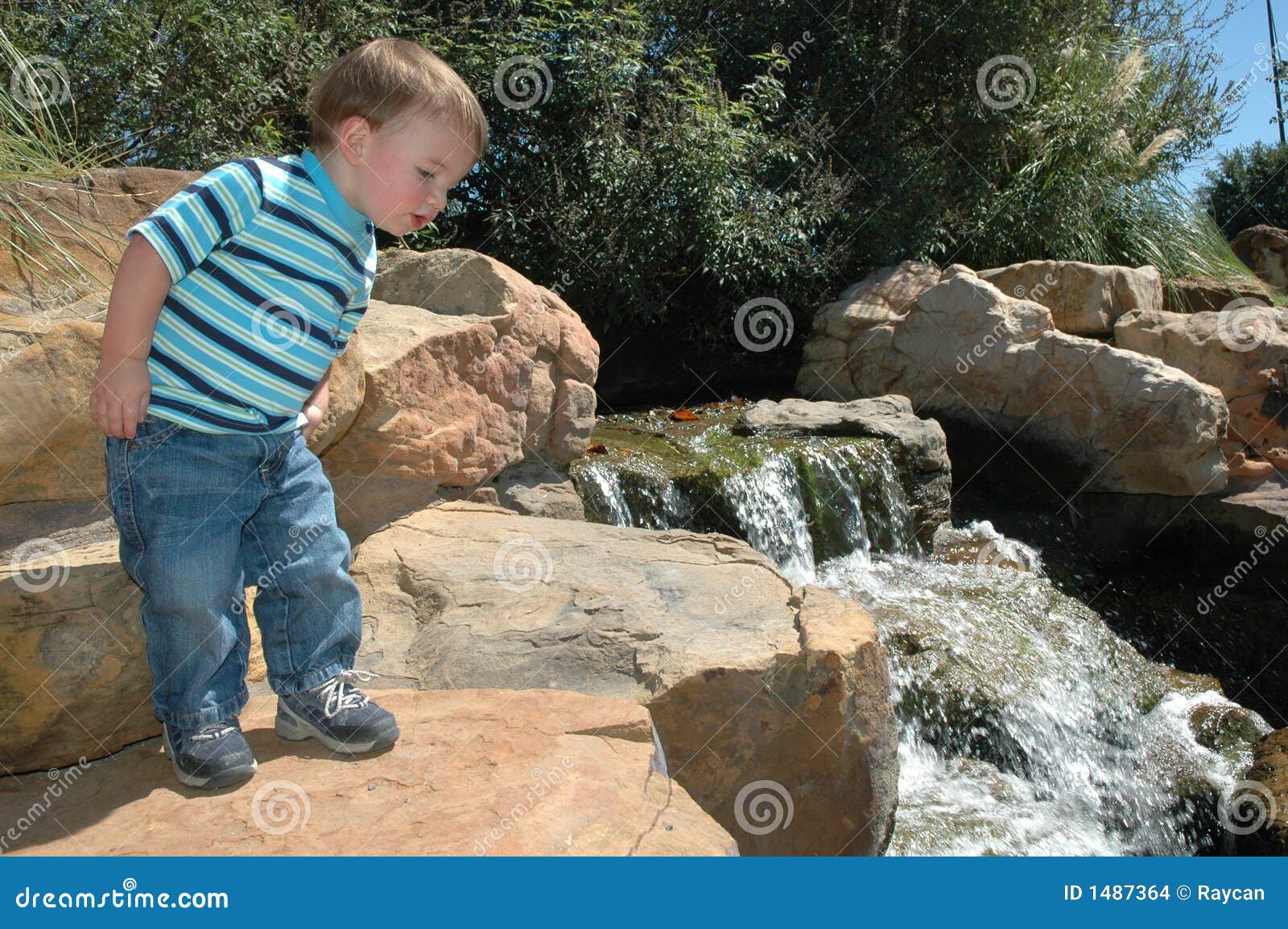 Looking Out stock photo. Image of faces, cute, kids, infants - 1487364