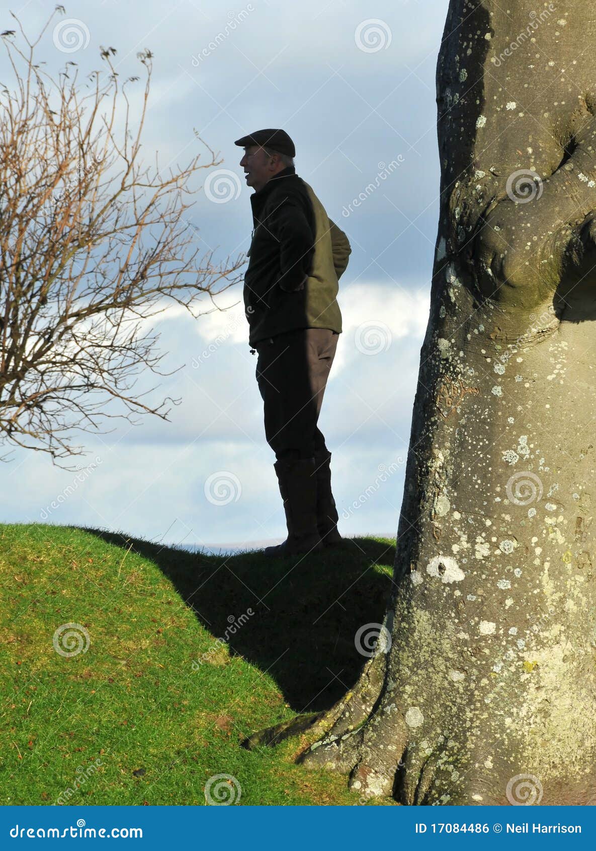 Looking Out stock photo. Image of scenery, bronze, english - 17084486