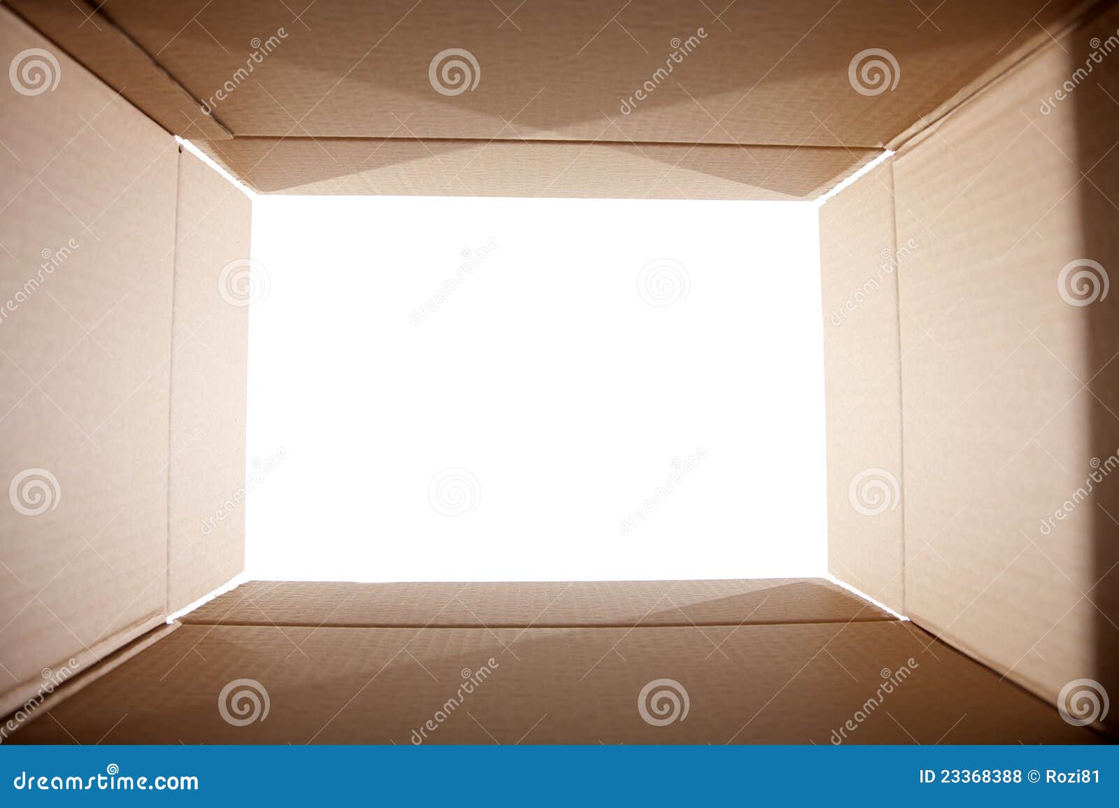 Looking out from the box stock photo. Image of isolated - 23368388