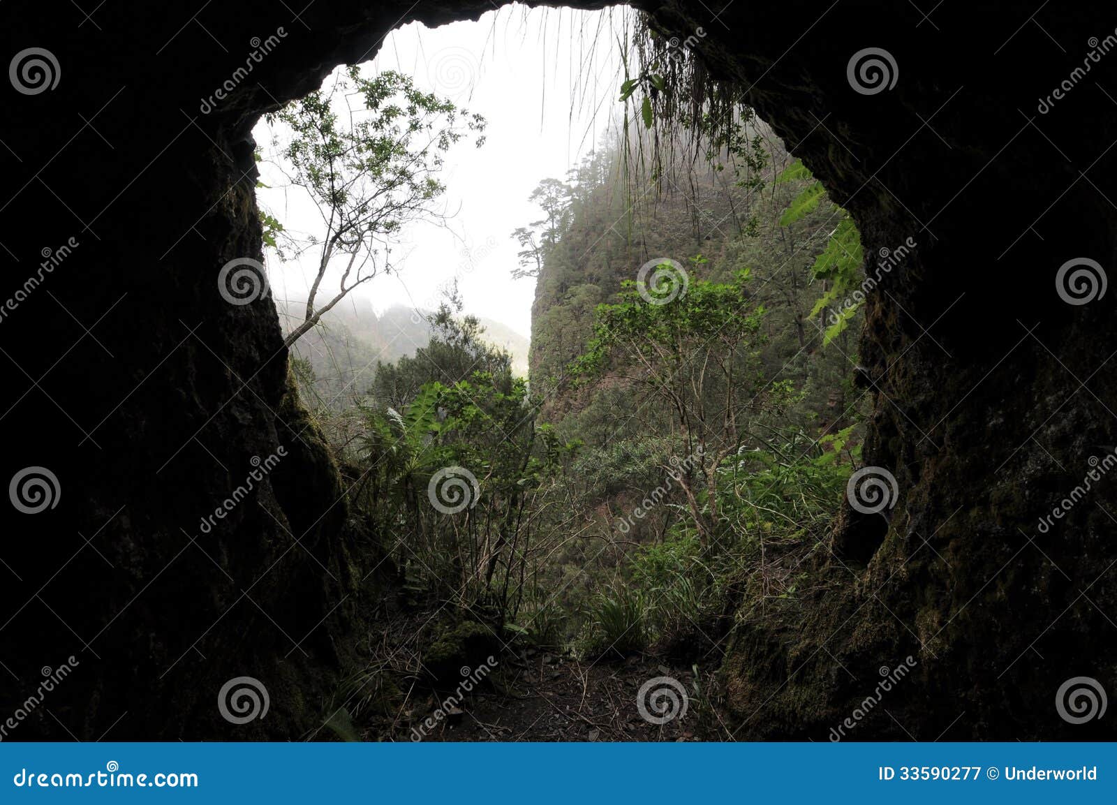 Looking Up At A Cave Opening In A Limestone Bluff In Peninsula State ...