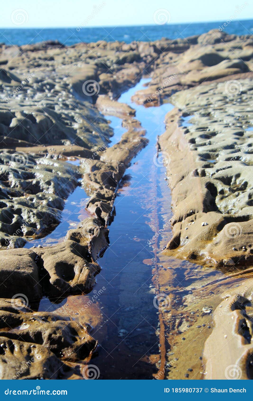 Erosion Patterns Rock Platform Avoca Beach Stock Image - Image of ...