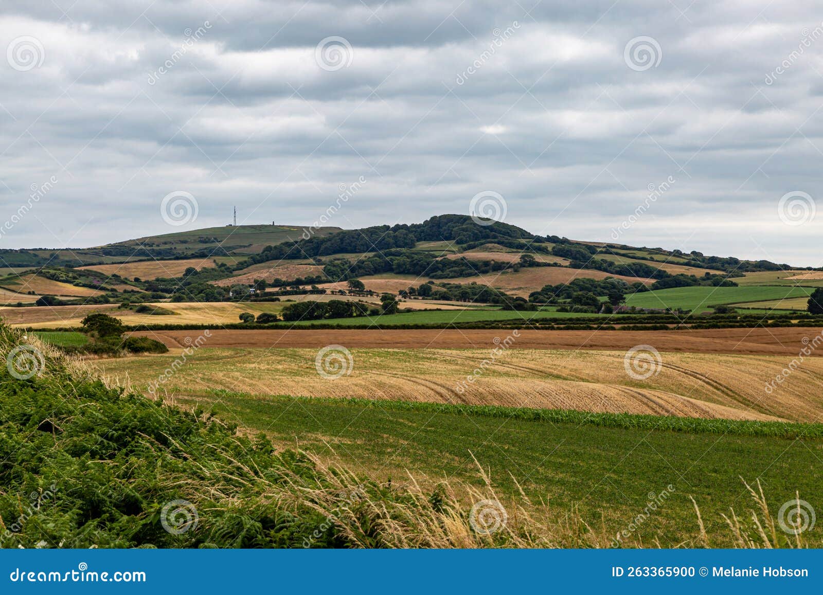 Looking Out Over Farmland on the Isle of Wight Stock Photo - Image of ... Looking Out Over Farmland on the Isle of Wight Stock Photo - Image of ...