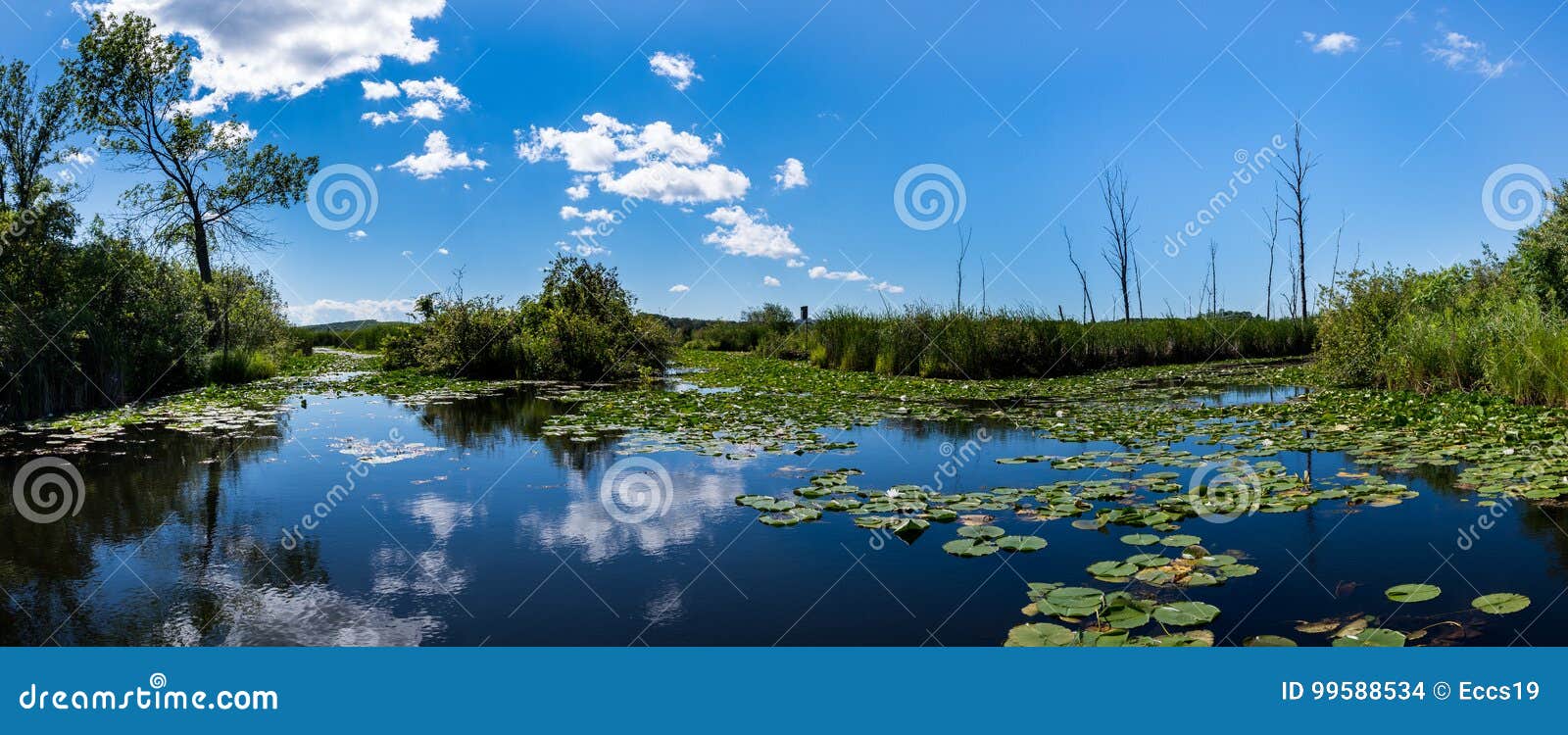 Looking out over lake stock photo. Image of pond, reflection - 99588534