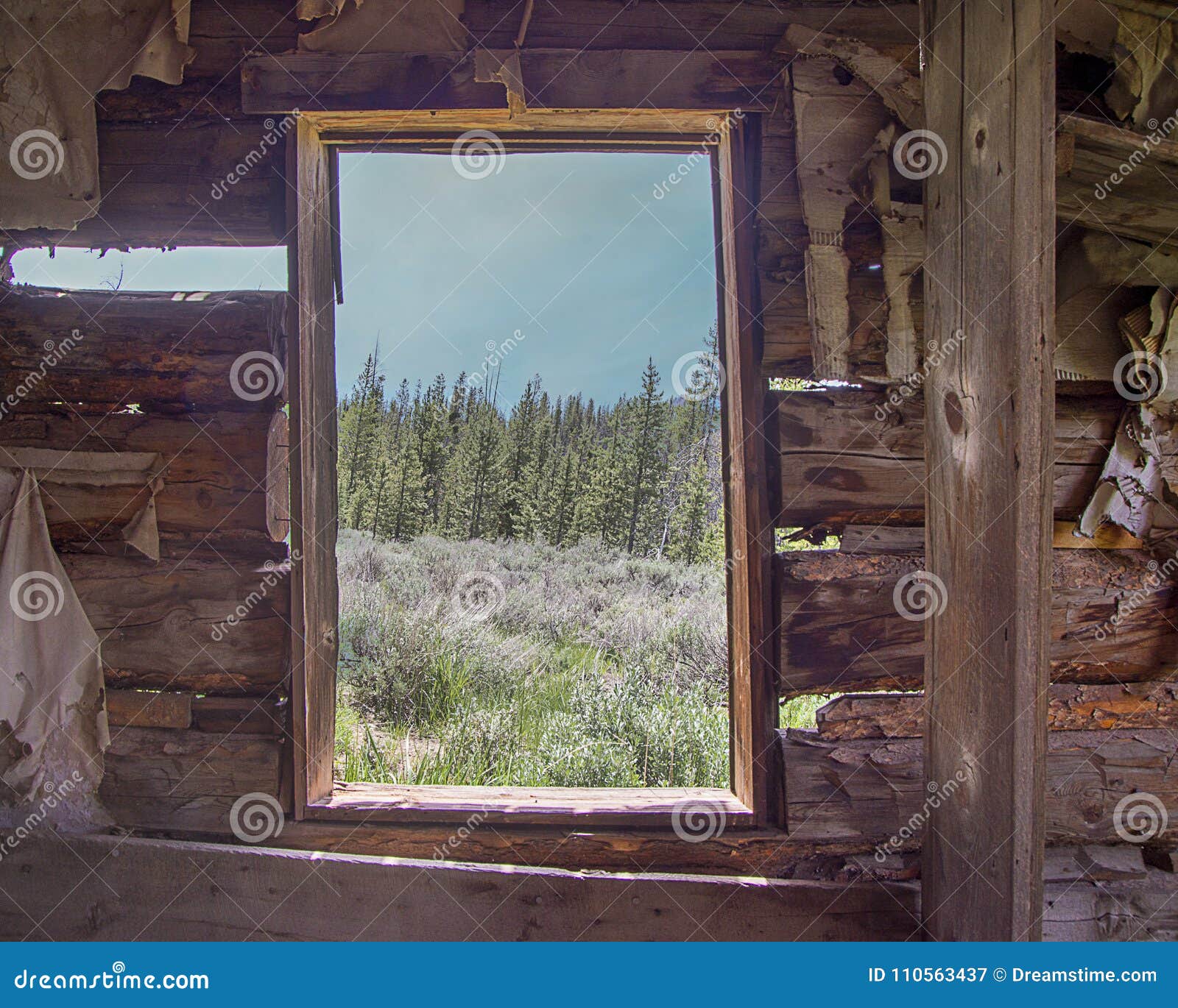 Looking Out from Rustic Cabin Window Stock Image - Image of looking ...