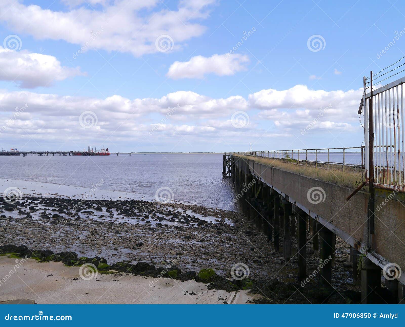 Looking Out from Shoreline by Derelict Jetty Stock Photo - Image of ...