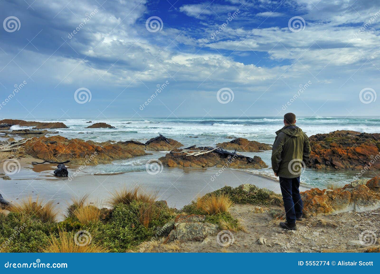 Looking out to sea. stock photo. Image of lone, shore - 5552774