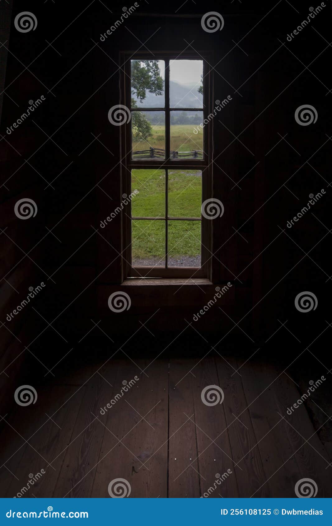 Looking out a window stock image. Image of open, fence - 256108125