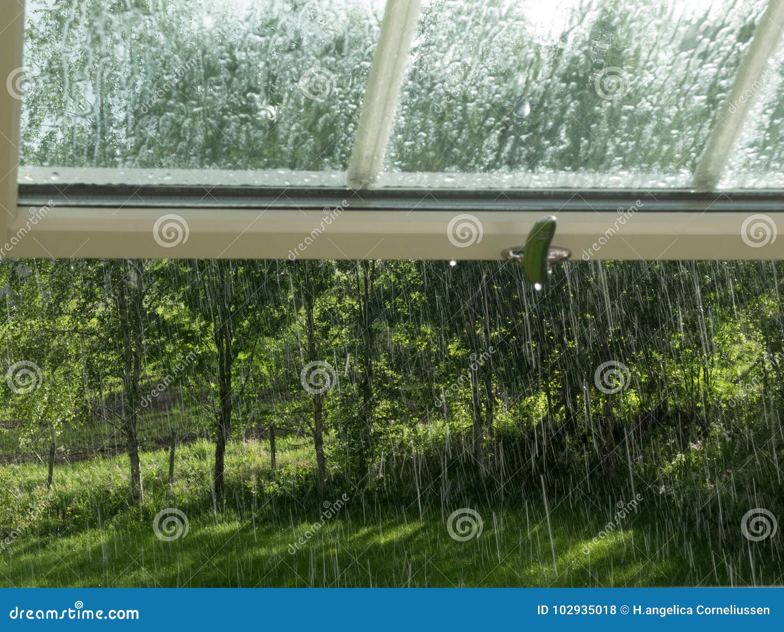 Looking Out of a Window on Rain Stock Photo - Image of drops, energy ...