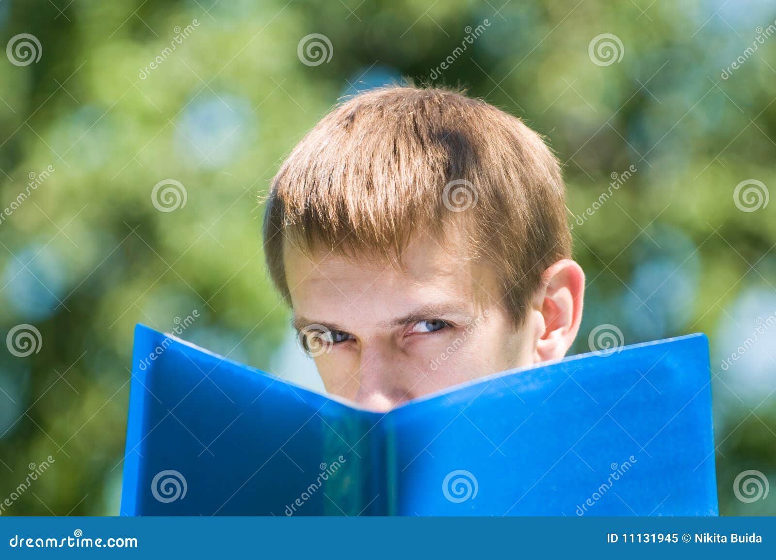 Looking over stock image. Image of horizontal, park, papers - 11131945