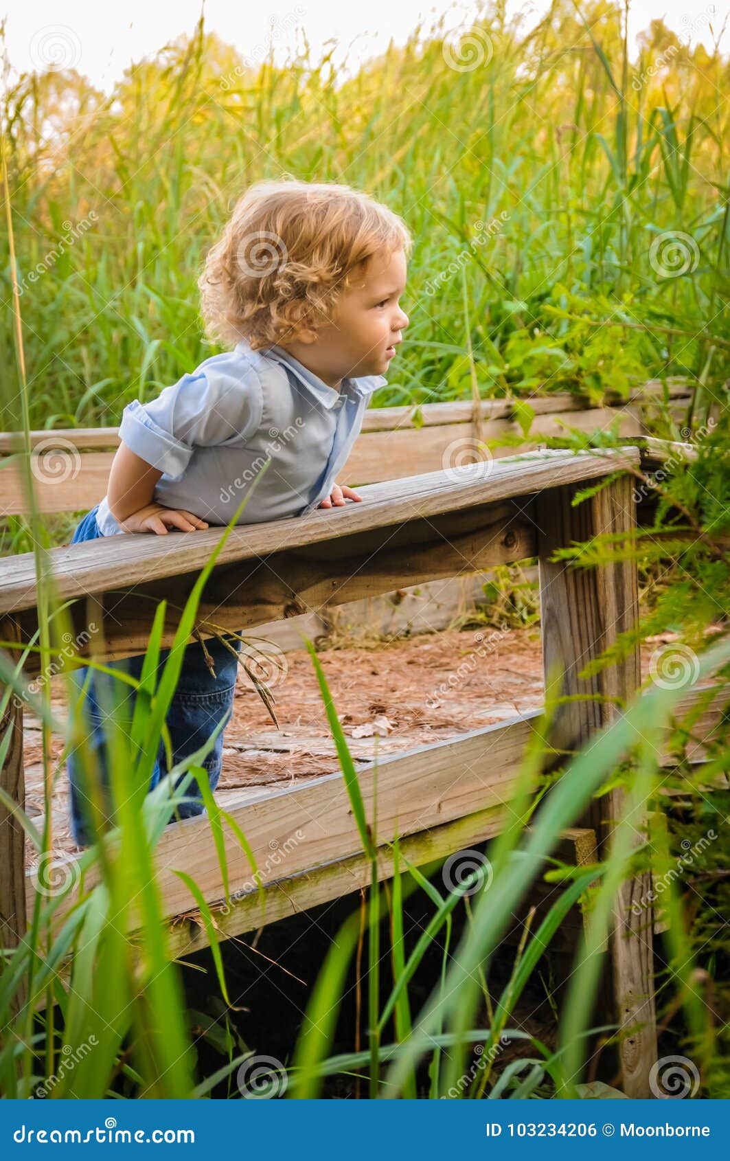 Looking Over a Bridge stock photo. Image of male, baby - 103234206
