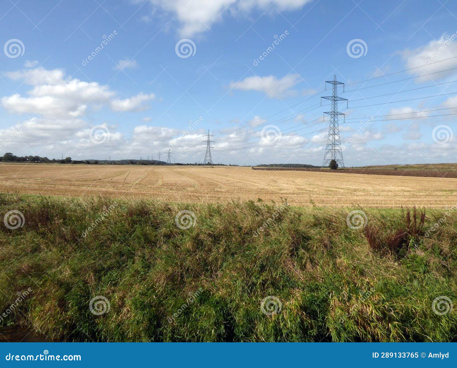 Looking Over Hedge To Pylons Stock Image - Image of discovery, rural ...